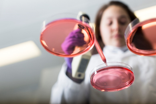 進口代理—美國蒙大拿州—「Rocky Mountain Biologicals (RMBIO)」血清、細胞培養補充劑|IEAT全球貿易商機 ...