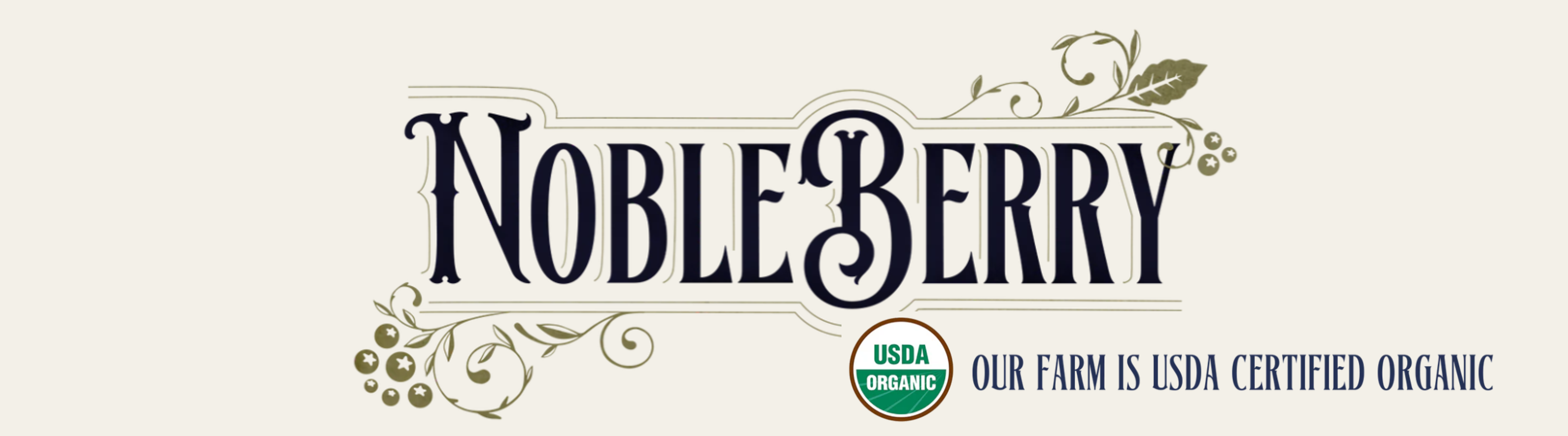 進口代理-美國密蘇里州-「Noble Berry」接骨木莓汽水 |IEAT全球貿易商機 - 台北市進出口商業同業公會
